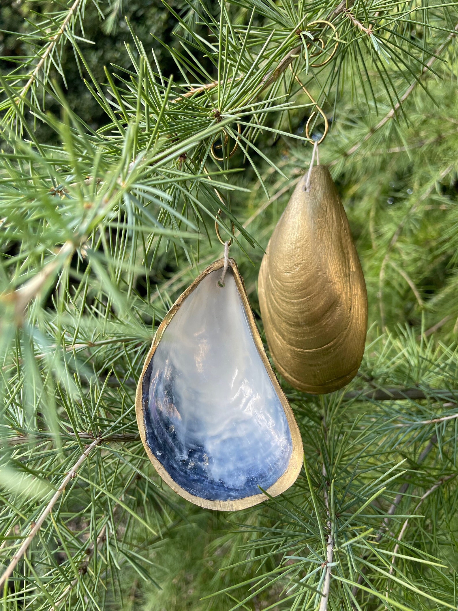 Ocean Muscles Ornaments - Etsy