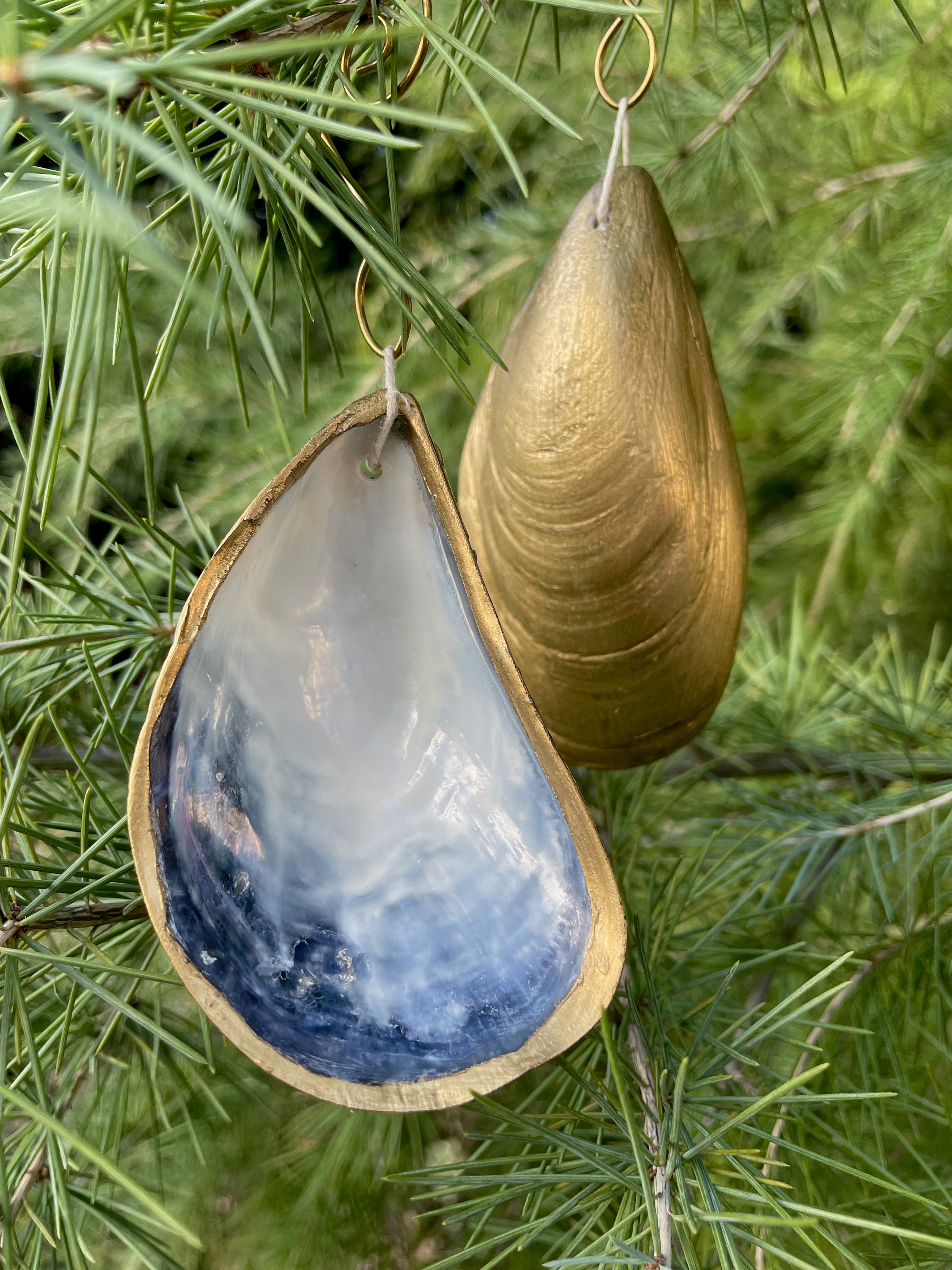 Ocean Muscles Ornaments - Etsy