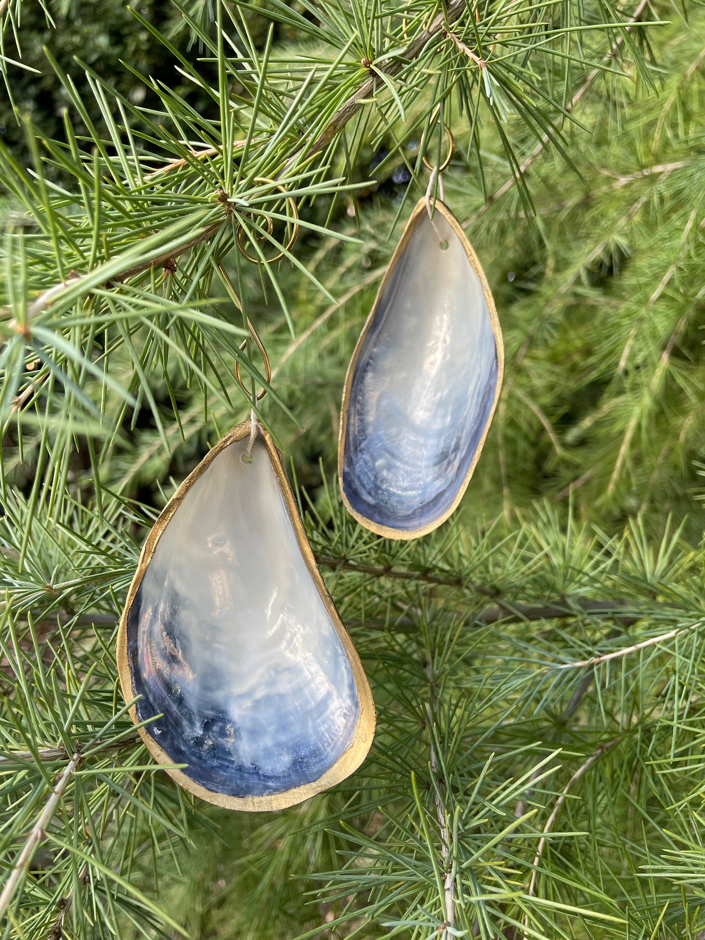 Ocean Muscles Ornaments - Etsy