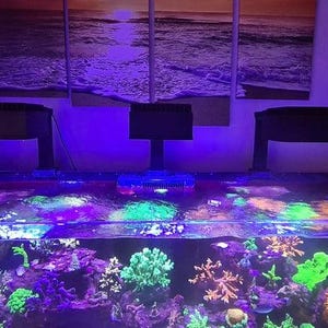 Red Sea Reefled 90 LED Light Shade to Prevent Light Spill - Etsy