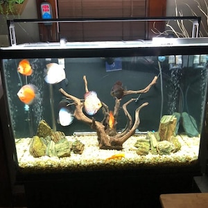 Risers Fluval Plant & Marine Aquasky LED Light 2.0 3.0 - 2"-8" Pair ...