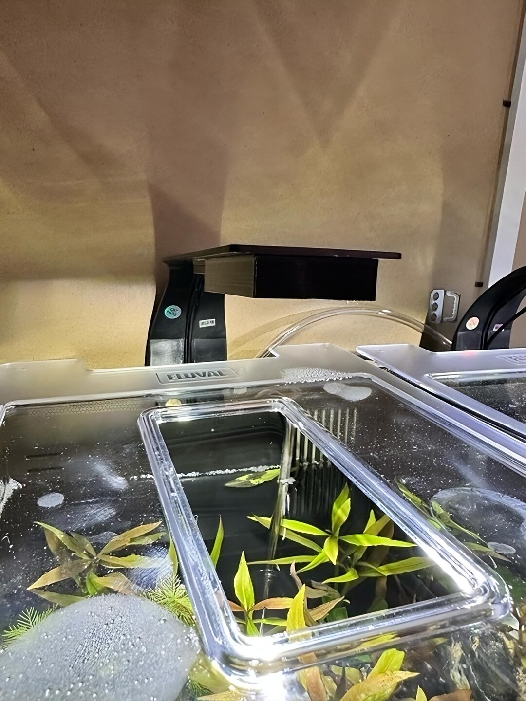 Fluval Betta Premium Aquarium Light Shade Diffuser Shroud - Etsy