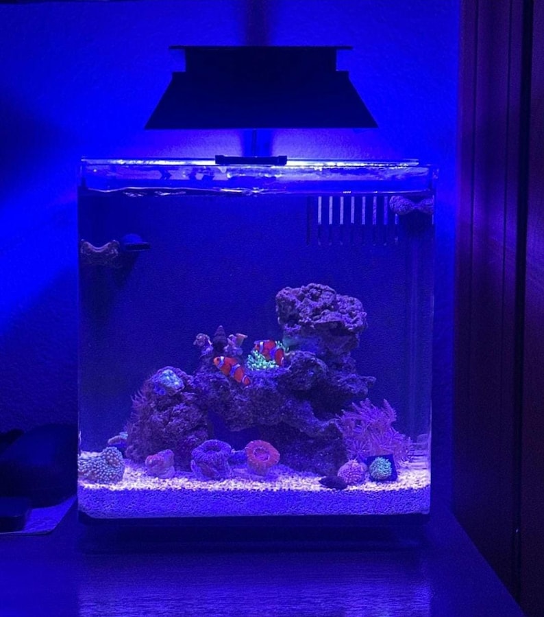 Fluval Nano Marine and Plant LED Light Shade to Prevent Light Spill - Etsy