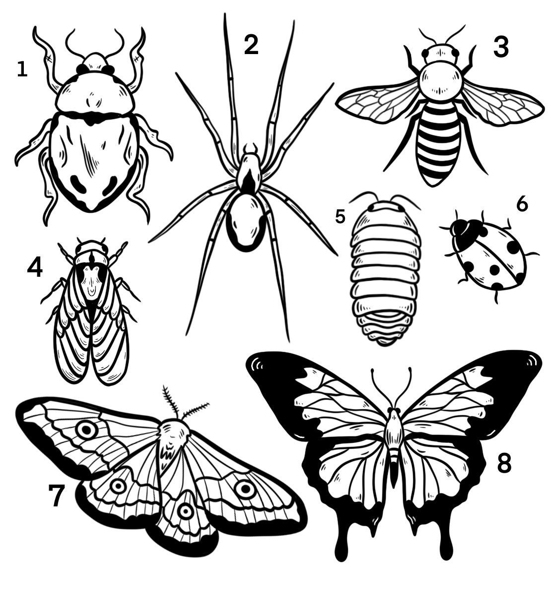 Assorted Bug/insect Temporary Tattoos - Etsy