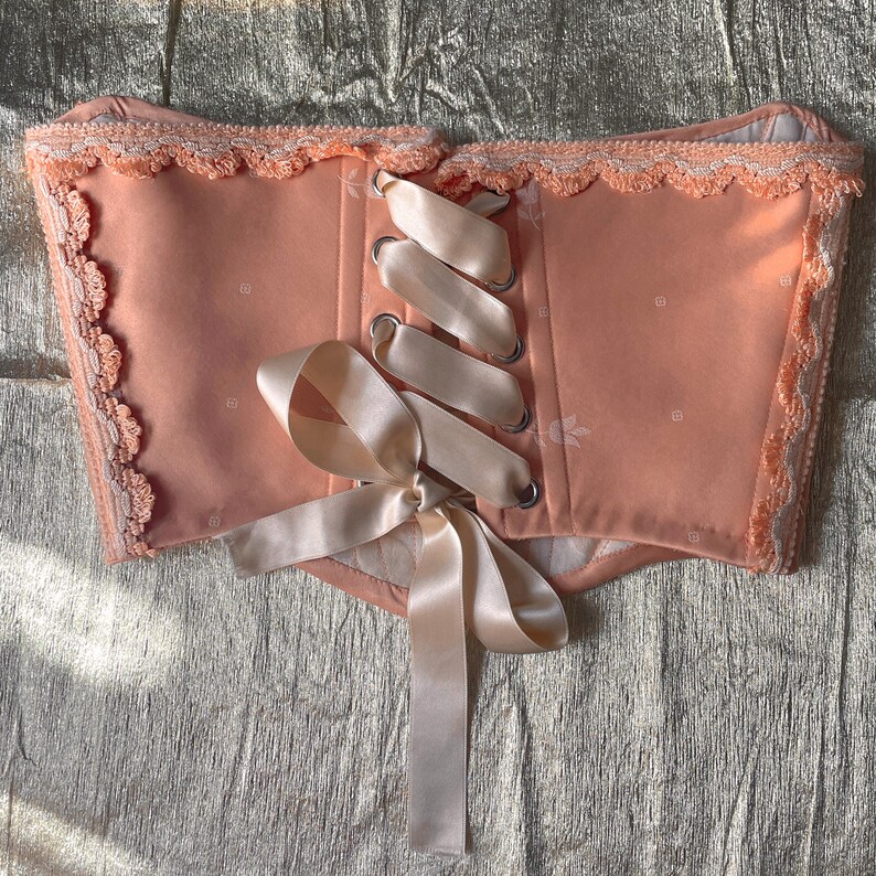 Marie Antoinette Corset, Pink Corset, Rococo Style, Remake Fashion - Etsy