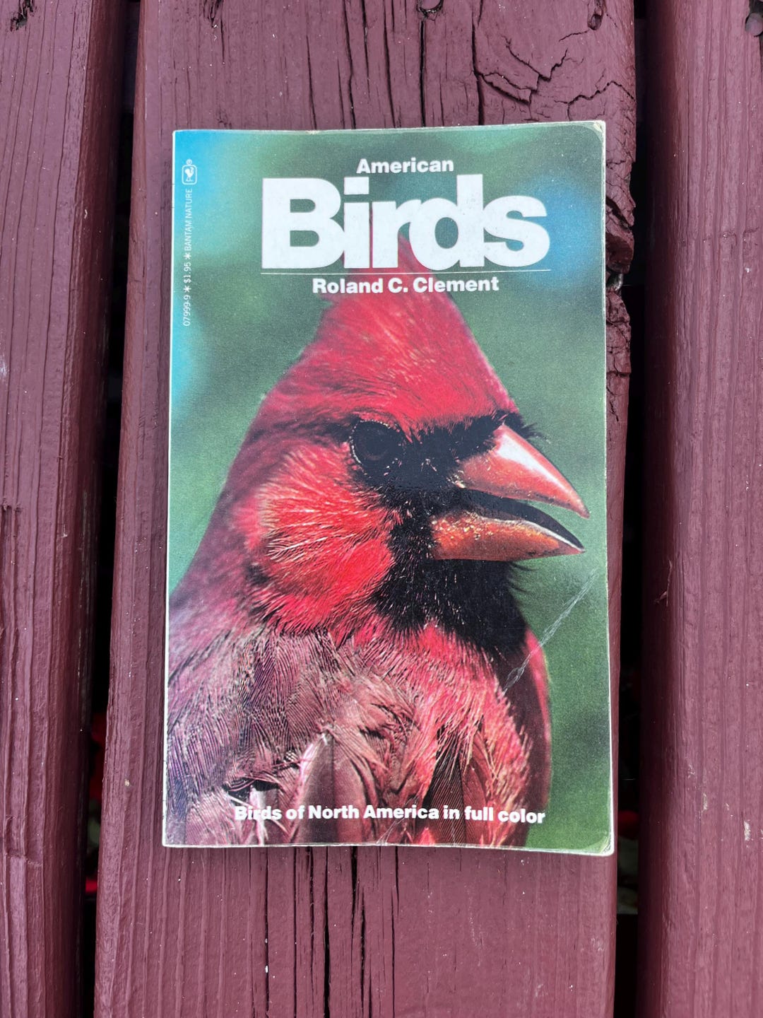 Vintage American Birds Book, American Birds, Vintage Bird Books, Bird ...