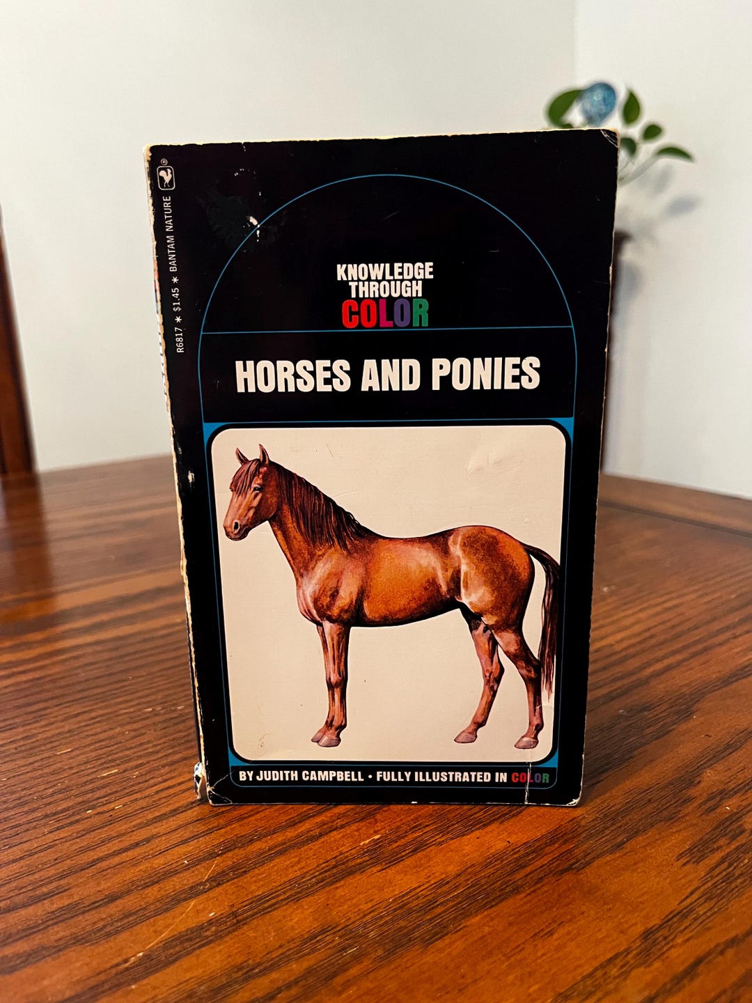 Vintage Horses and Ponies Books, Vintage Horse Books, Horse Books ...