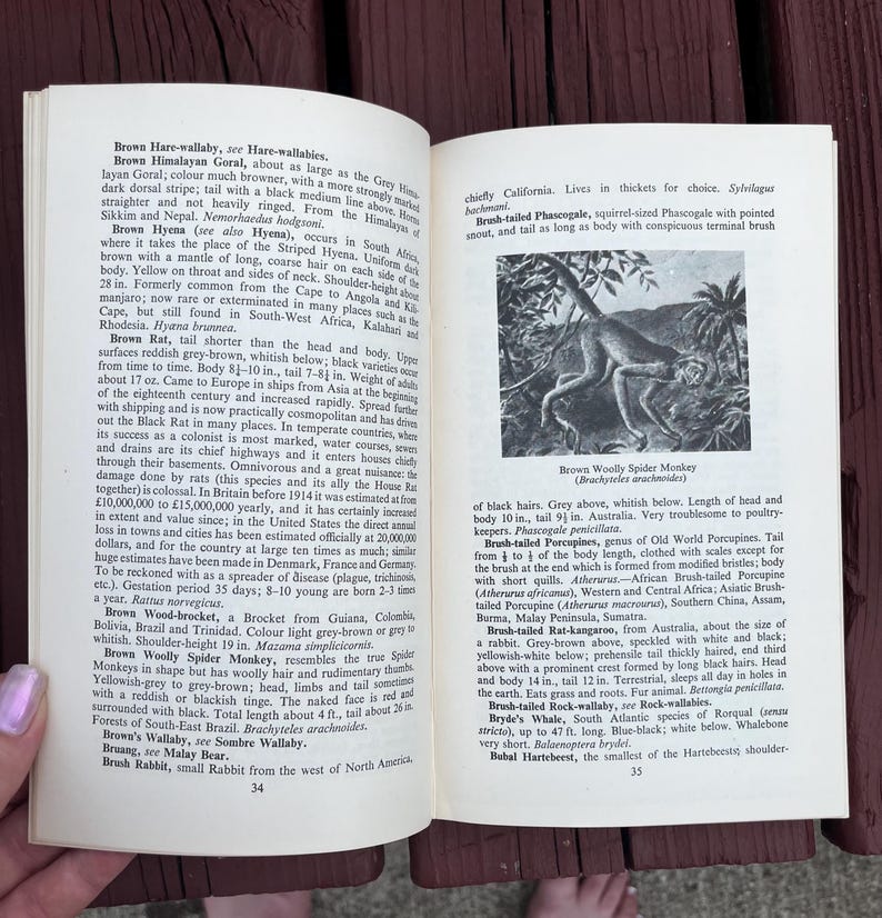 Vintage Animal Encyclopedia, Animal Encyclopedia, Animal Reference Book ...