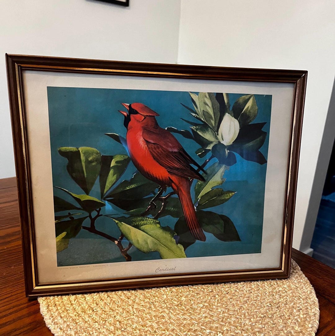 Vintage Framed Cardinal Bird Art, Vintage Birds Decor, Birds, Birds Art ...