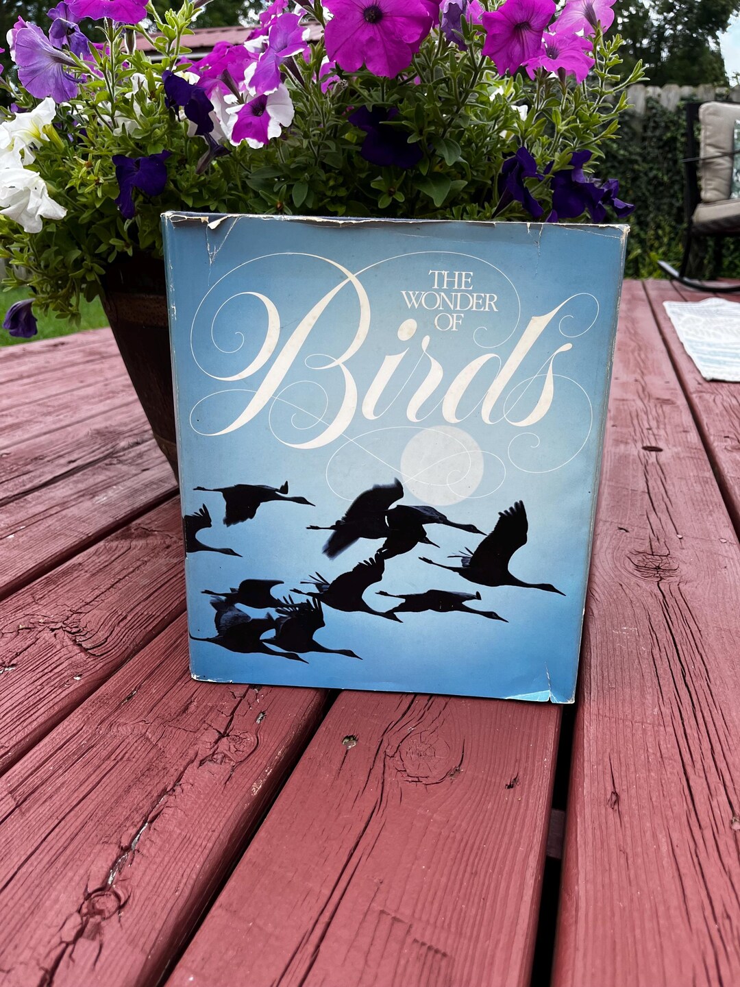 Vintage How to Know the Birds Book, Vintage Bird Books, Bird Books ...