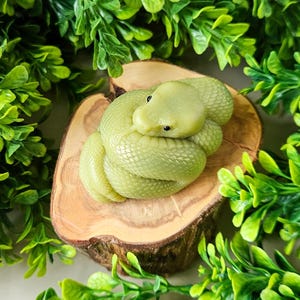 3D Silicone Snake Mold for Resin, Soap, Candle Making - Etsy