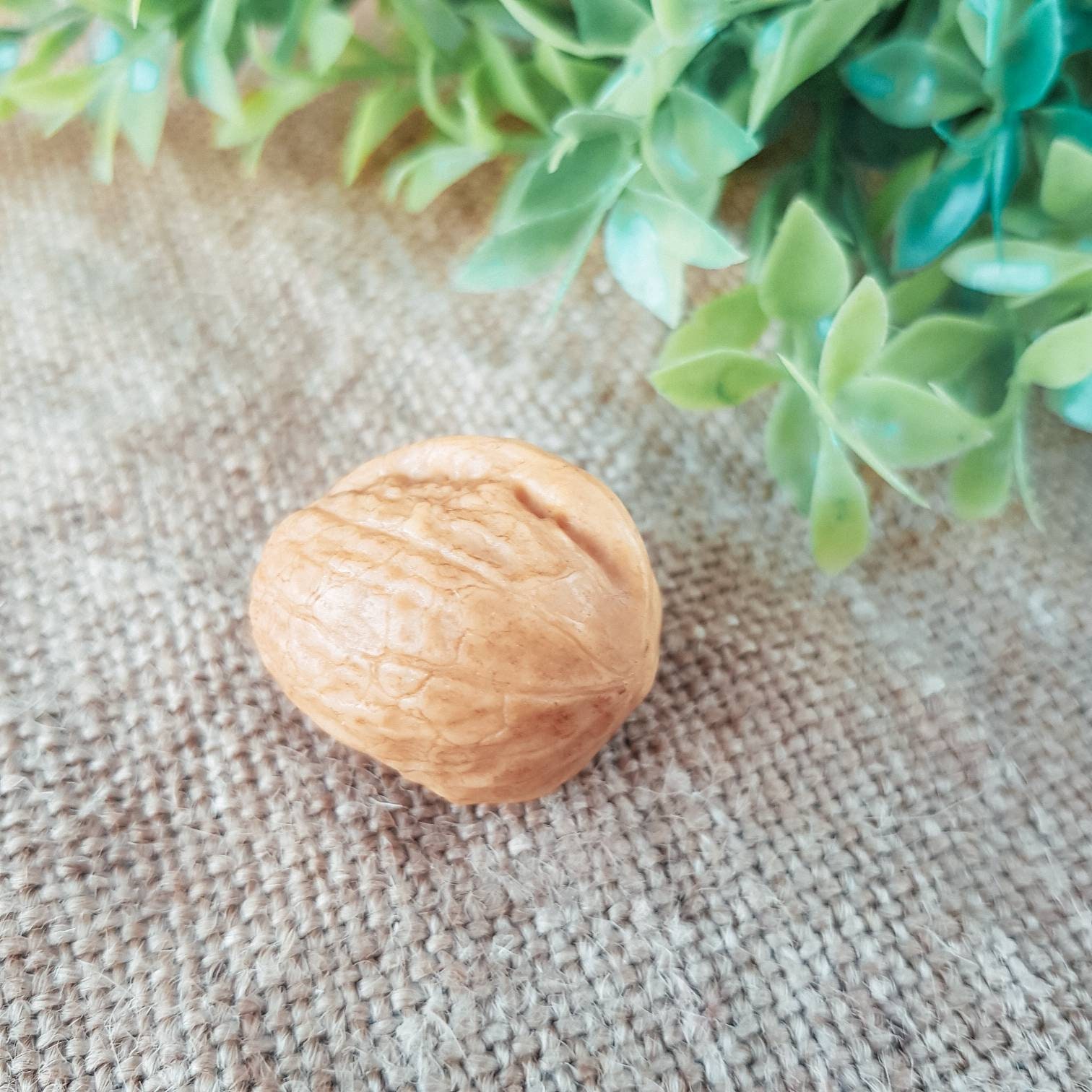 Walnut mold Silicone mold 3D mould Soap molds Resin mold | Etsy