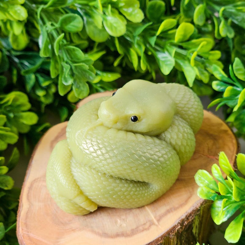 Snake Resin Molds - Etsy