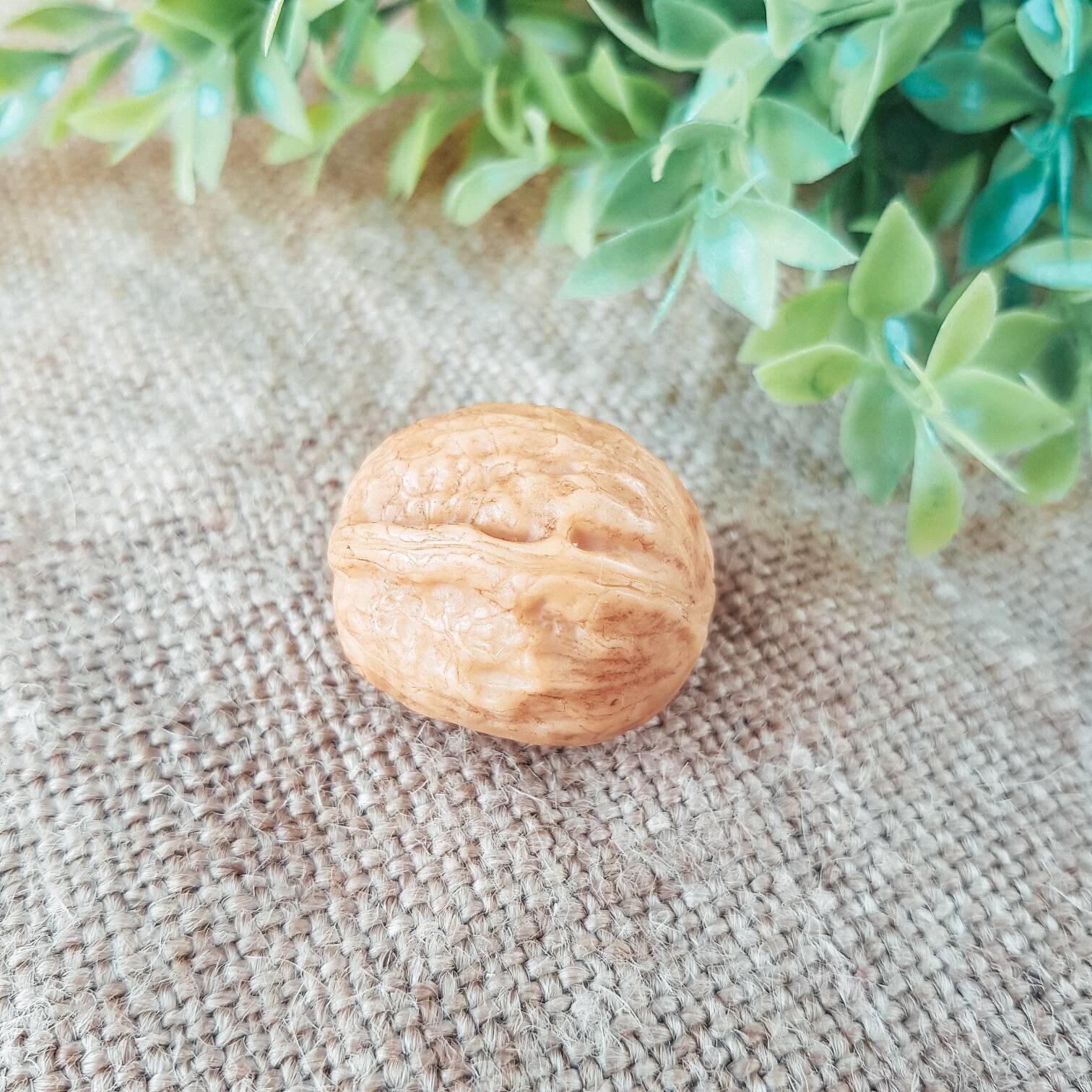 Walnut mold Silicone mold 3D mould Soap molds Resin mold | Etsy