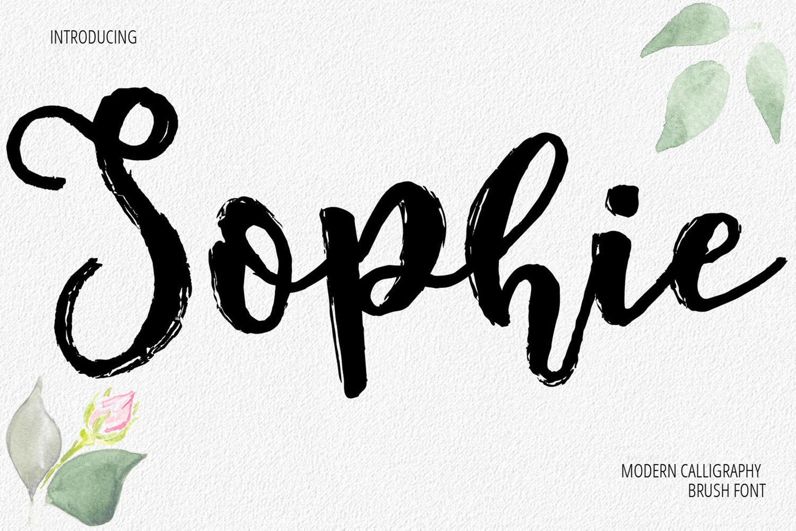 Font fonts sophie digital download calligraphy handwritten | Etsy