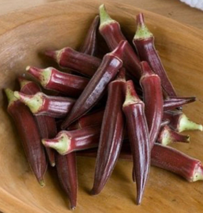 Red Okra Seeds - Etsy