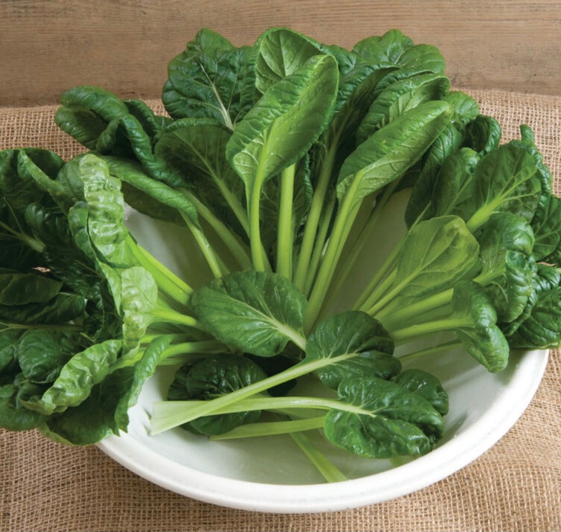 Tatsoi Asian Green Seed - Etsy