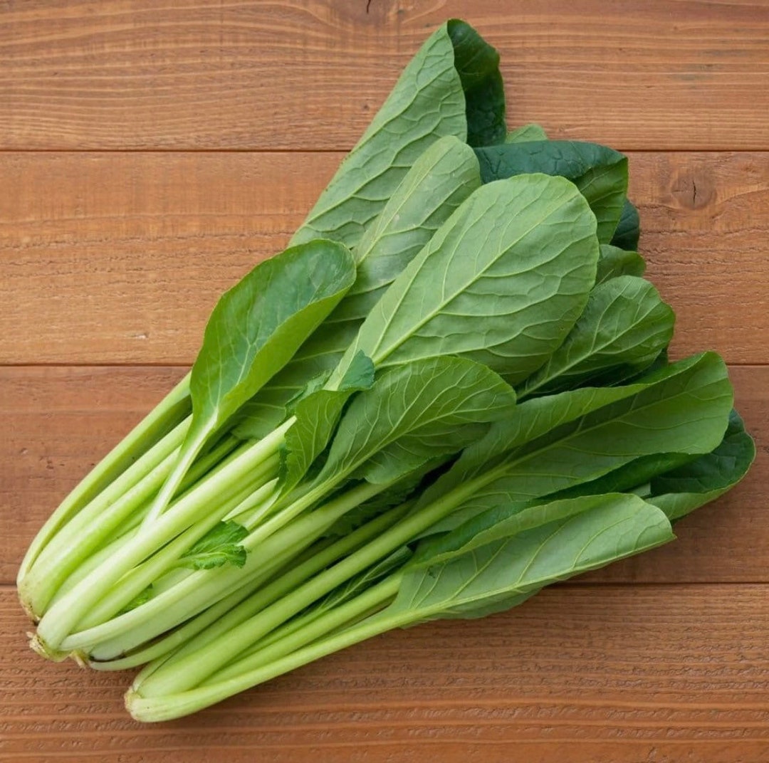 Komatsuna Mustard Seeds, Japanese Mustard (100+ Seeds) - Etsy