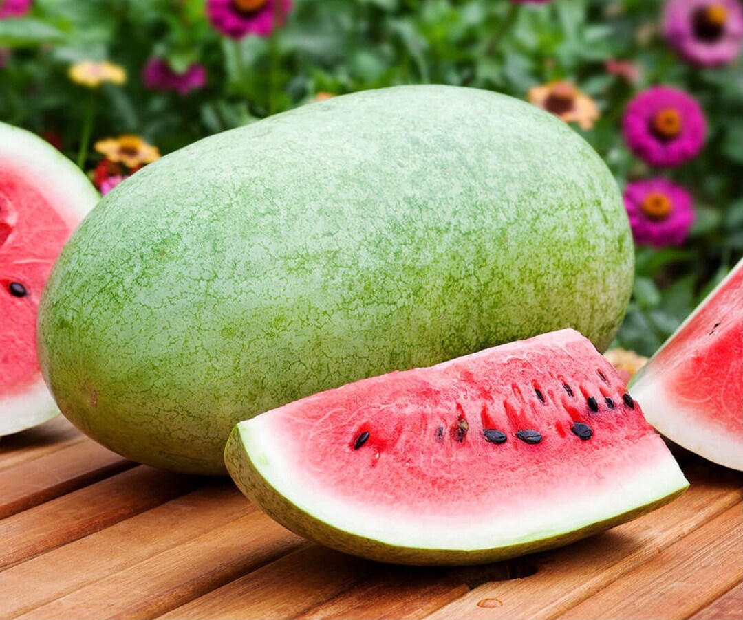 Charleston Gray Watermelon Seeds - Etsy