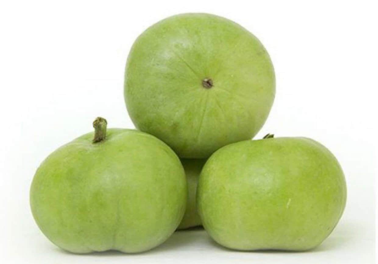 Apple Gourd Tinda Seeds - Etsy
