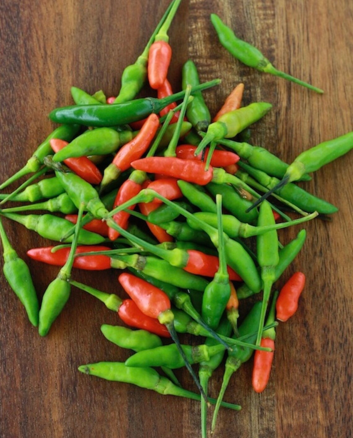 Garden Bird Pepper,thai Hot Pepper Chilli Live Seeds - Etsy