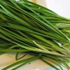 Chinese Leek/garlic Chive Nira Seed - Etsy