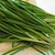 Chinese Leek/garlic Chive Nira Seed - Etsy