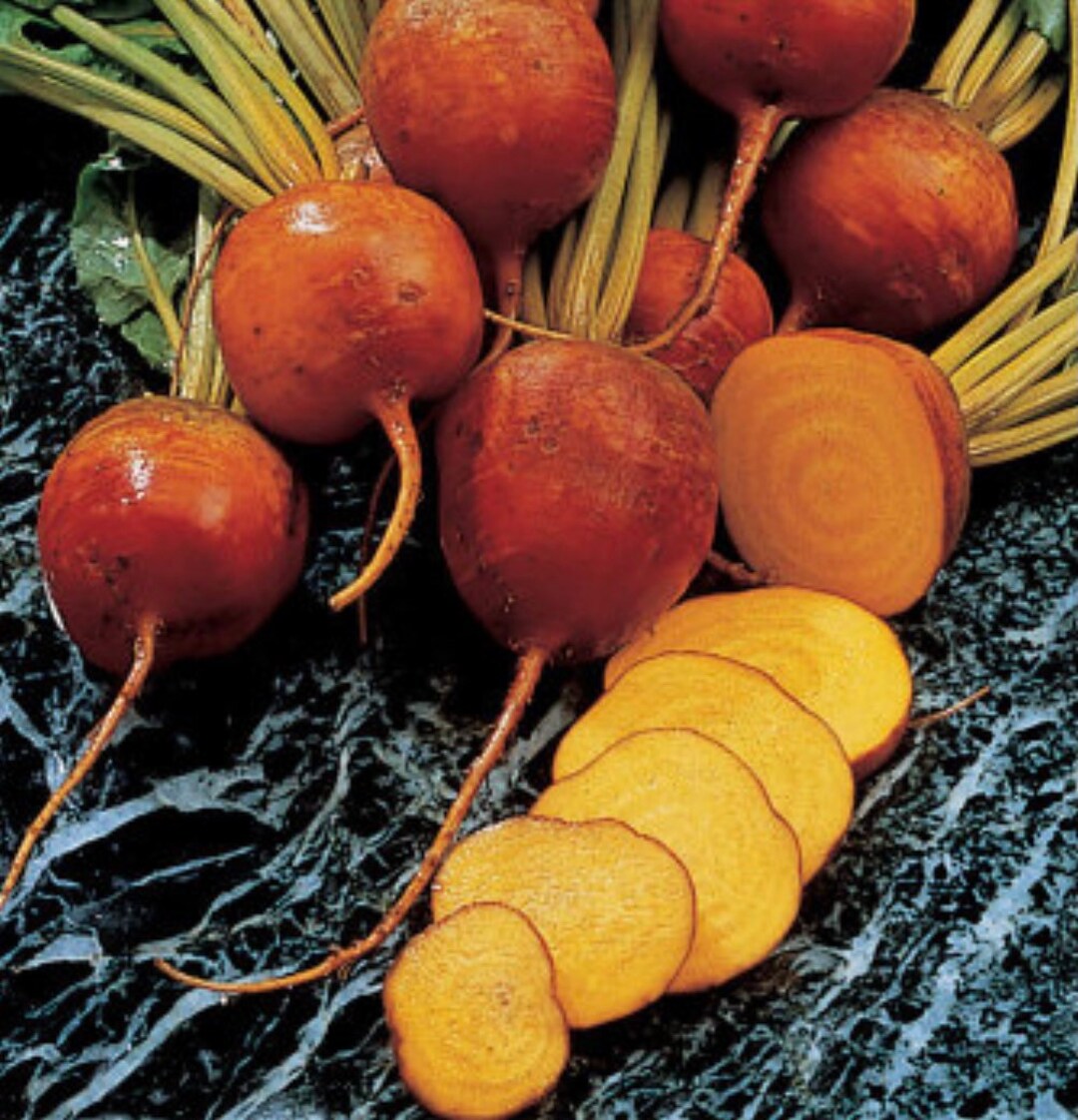 Burpee’s Golden Beet Seeds - Etsy