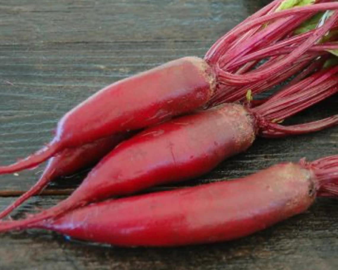 Cylindra Beet Seeds - Etsy