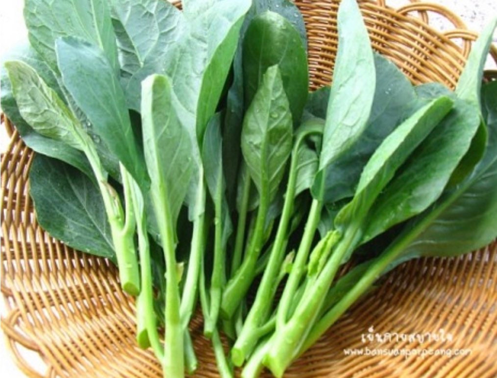 Gai Lan Seeds “chinese Broccoli” - Etsy