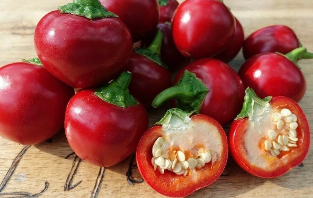 Red Cherry Sweet Pepper Seeds - Etsy