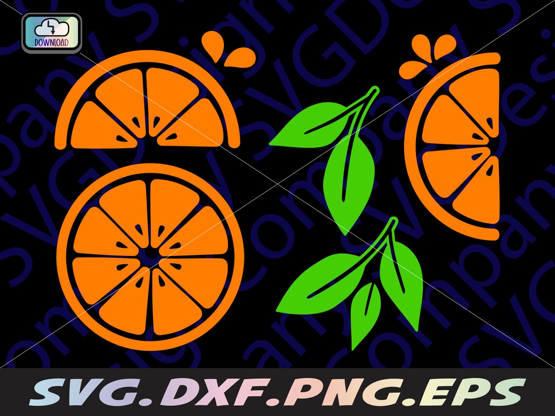 Orange Svg Bundle Citrus Svg Bundle Orange Clipart Bundle - Etsy