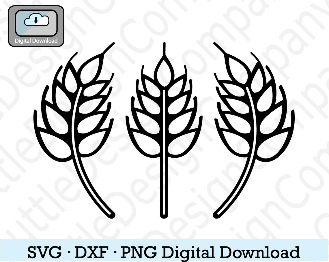 Grain Svg Wheat Svg Cut File Craft Beer Label Svg Art Wheat - Etsy