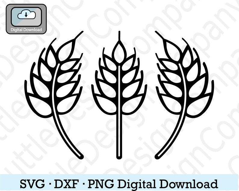 Grain Svg Wheat Svg Cut File Craft Beer Label Svg Art Wheat - Etsy