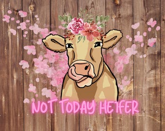 Not Today Heifer, PNG, Digital Download, Heifer, Cow, Highlander - Etsy