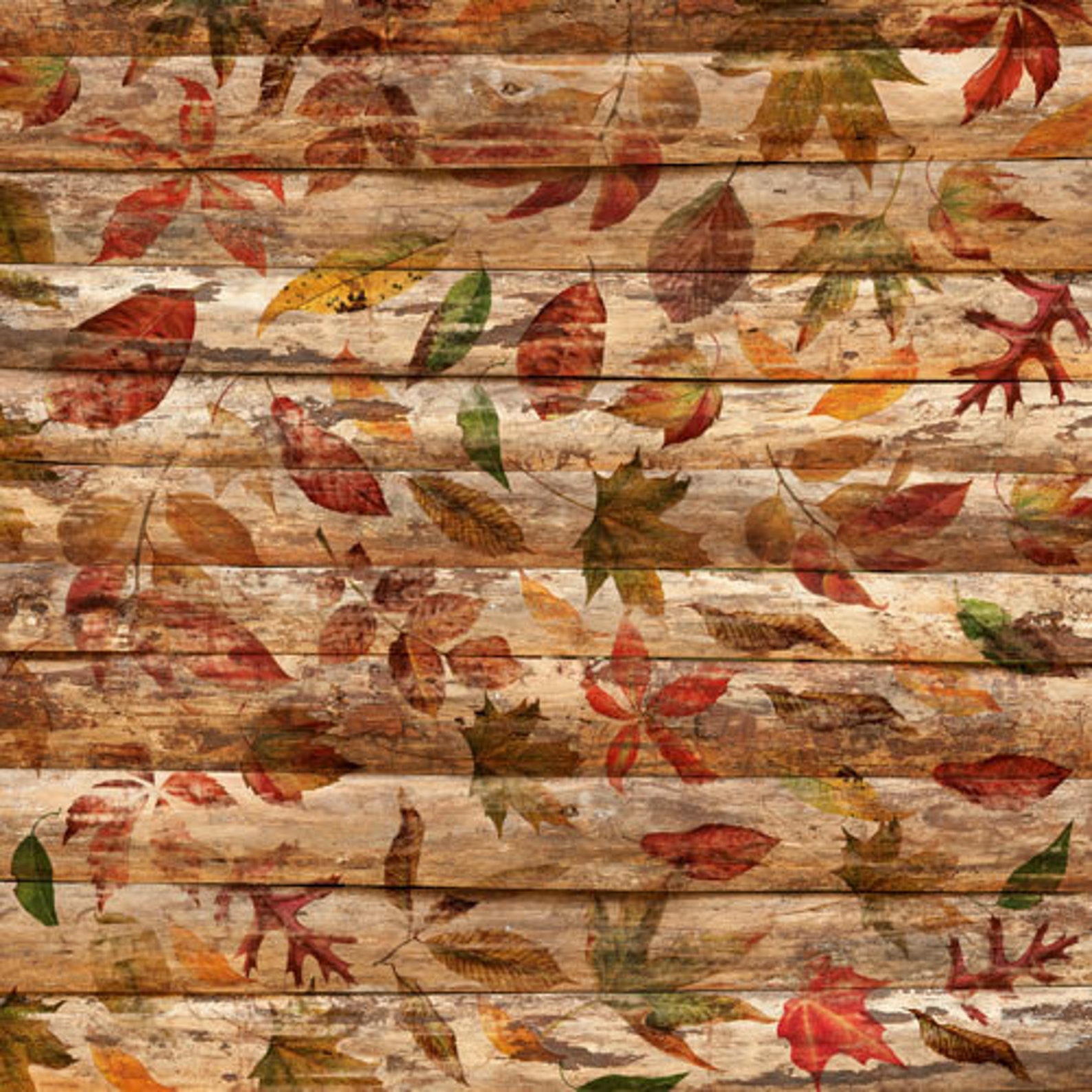 Scrapbook Paper/scrapbook Paper Pack/autumn Paper/scrapbooking Paper ...