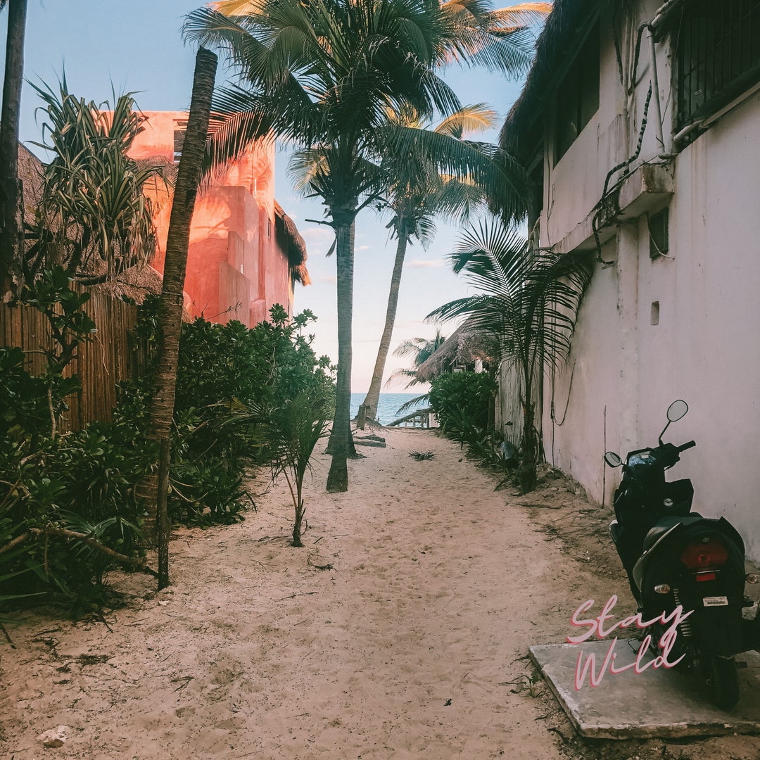 Beach Alley in Tulum - Etsy