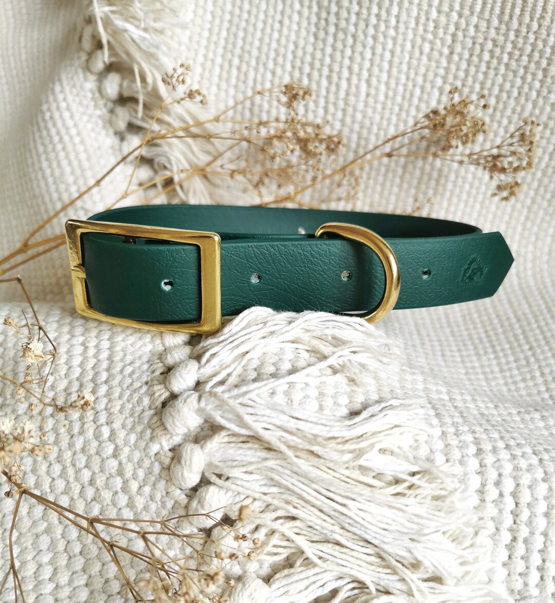 Biothane Collar Forest Green matching Leads Available - Etsy