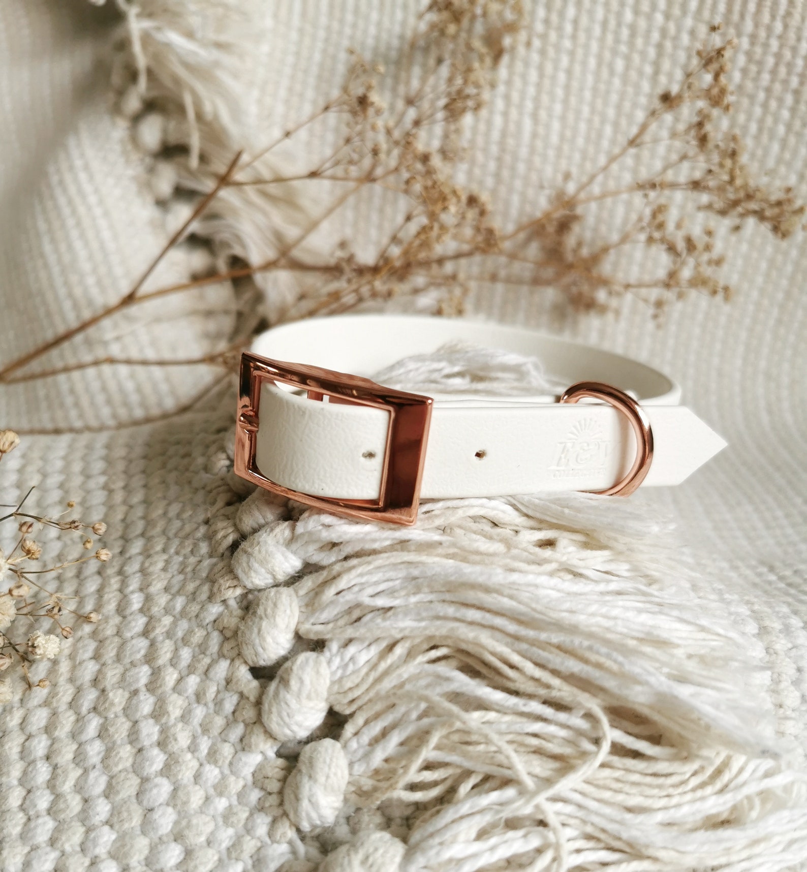 Biothane Collar White Matching Leads Available Metal | Etsy UK