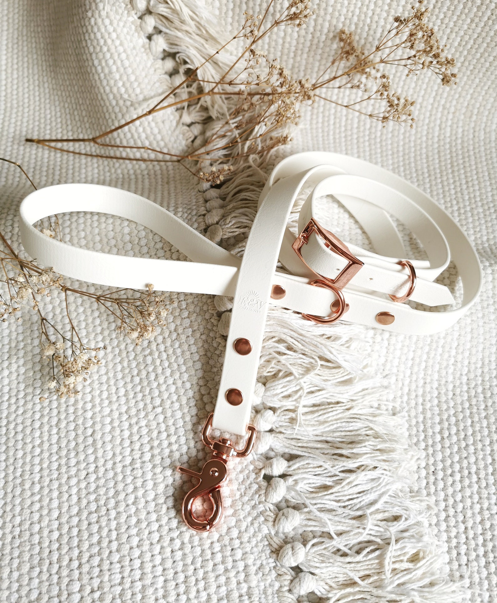 Biothane Collar White Matching Leads Available Metal | Etsy UK