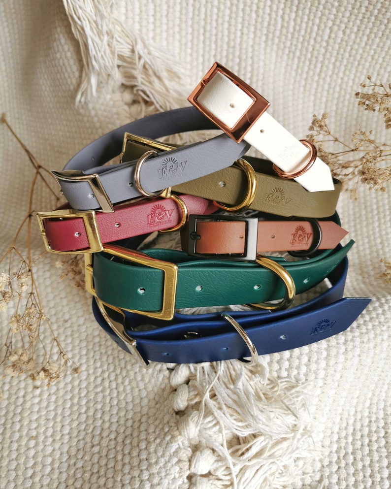 Biothane Collar White Matching Leads Available Metal | Etsy UK