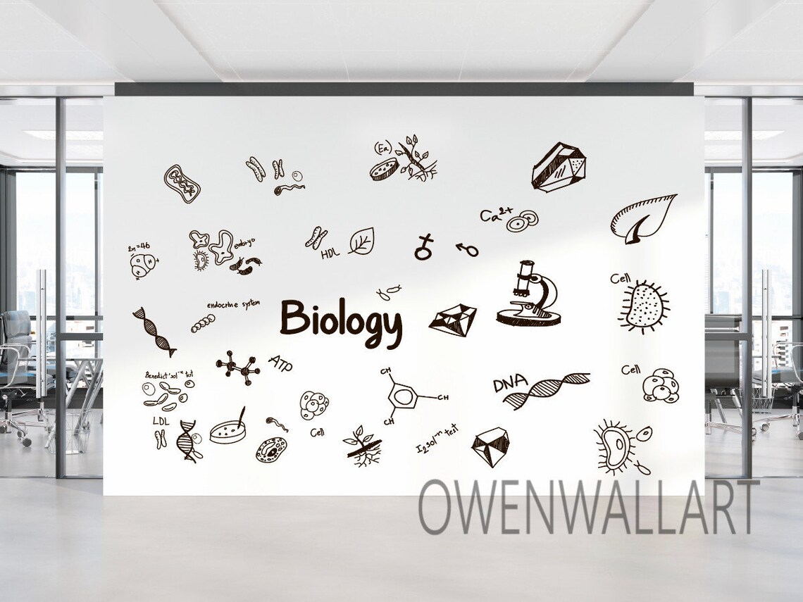 Graffiti Doodle Science Biology Wall Stickers Wall Art for - Etsy UK