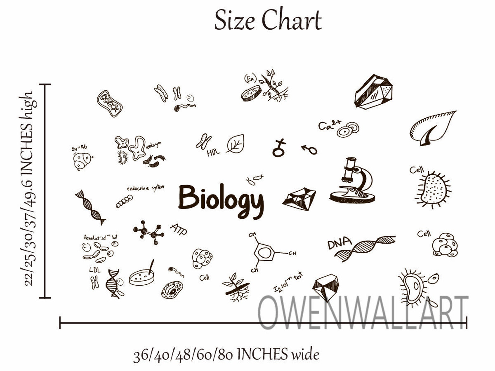 Graffiti Doodle Science Biology Wall Stickers Wall Art for - Etsy UK