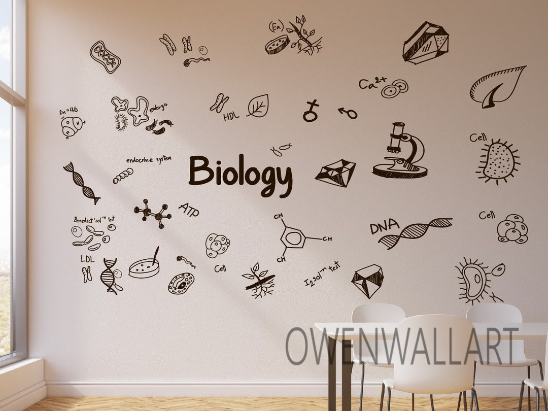 Graffiti Doodle Science Biology Wall Stickers Wall Art for School Wall ...
