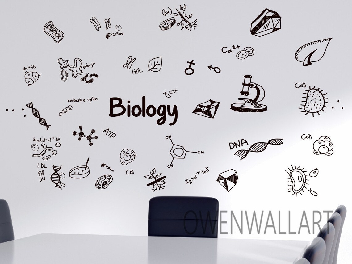 Graffiti Doodle Science Biology Wall Stickers Wall Art for - Etsy UK