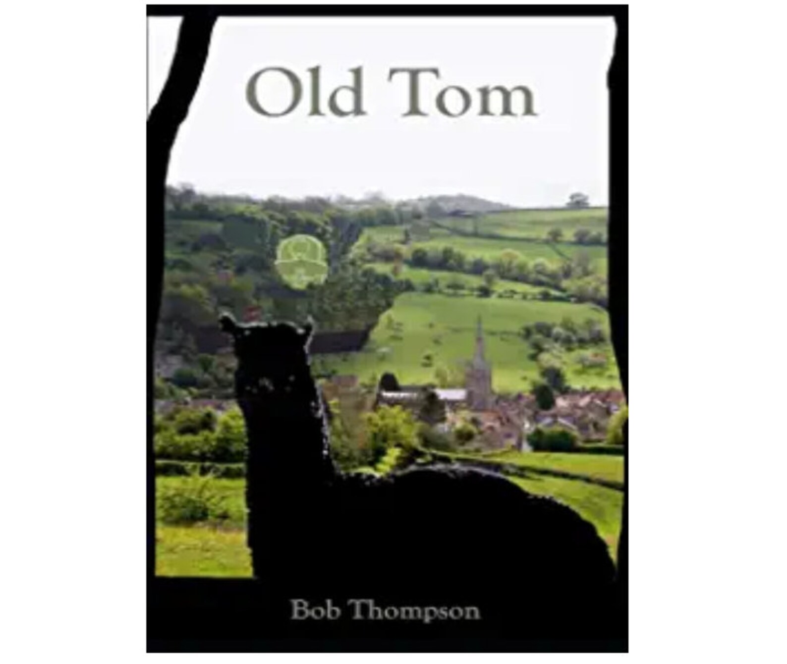 Old Tom - a Personalised Novel Signed by the Authorold Tom - Etsy