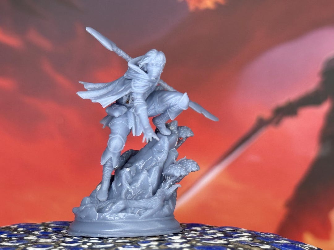 Monk, Rogue - TTRPG Miniature - Etsy
