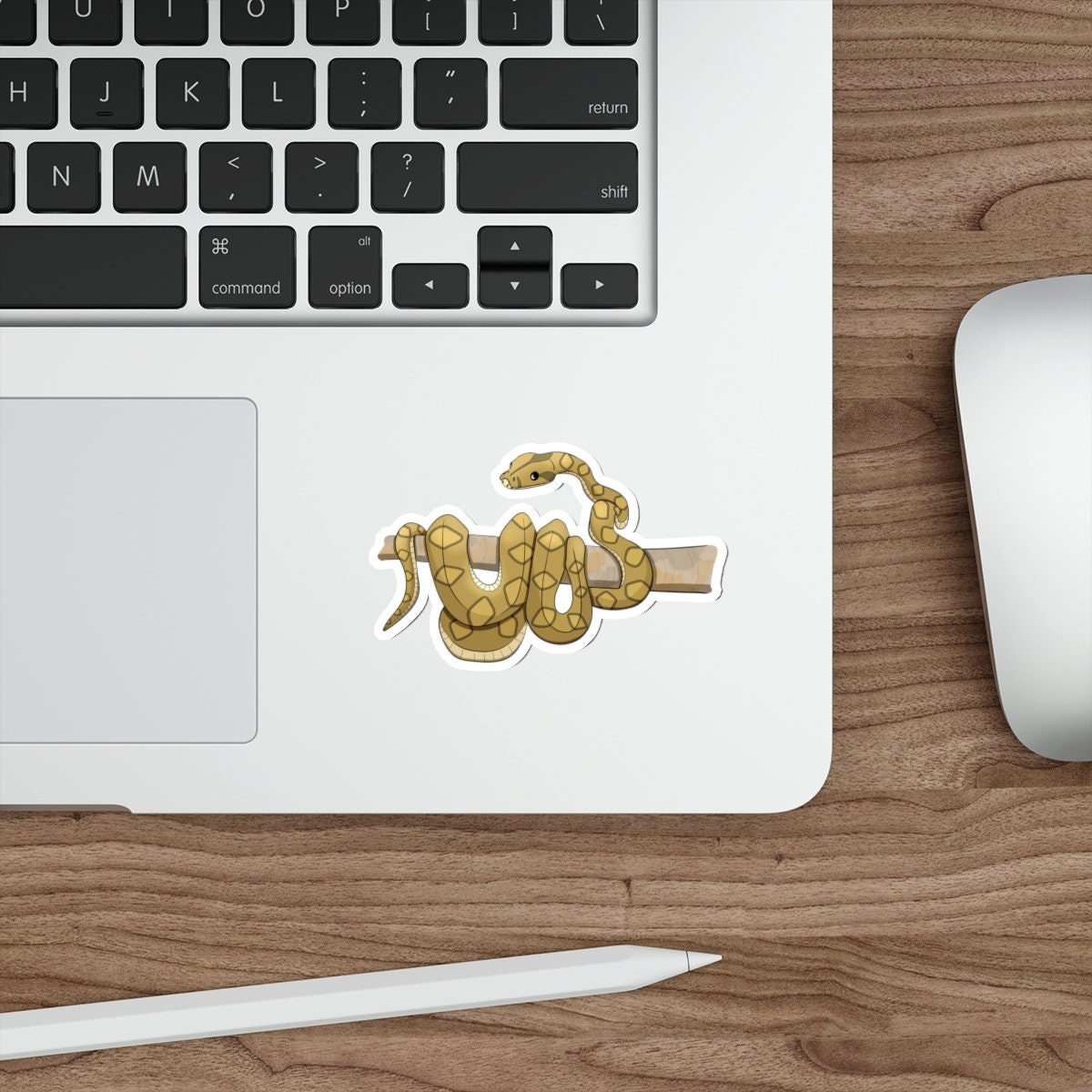 Snake Sticker, Cute Snake Decal, Laptop Sticker, Water Bottle Decal ...