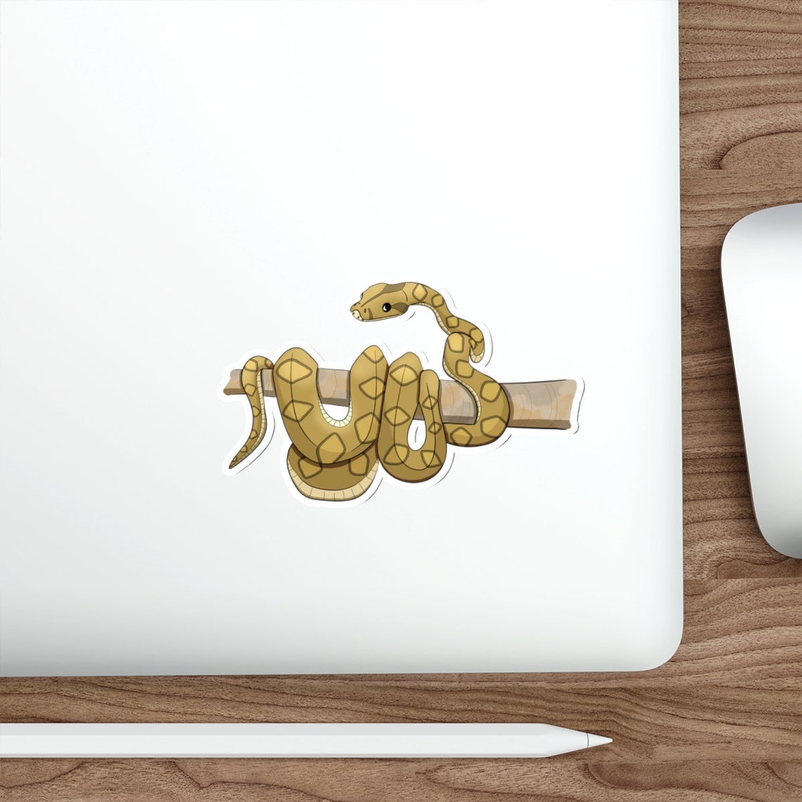 Snake Sticker, Cute Snake Decal, Laptop Sticker, Water Bottle Decal ...