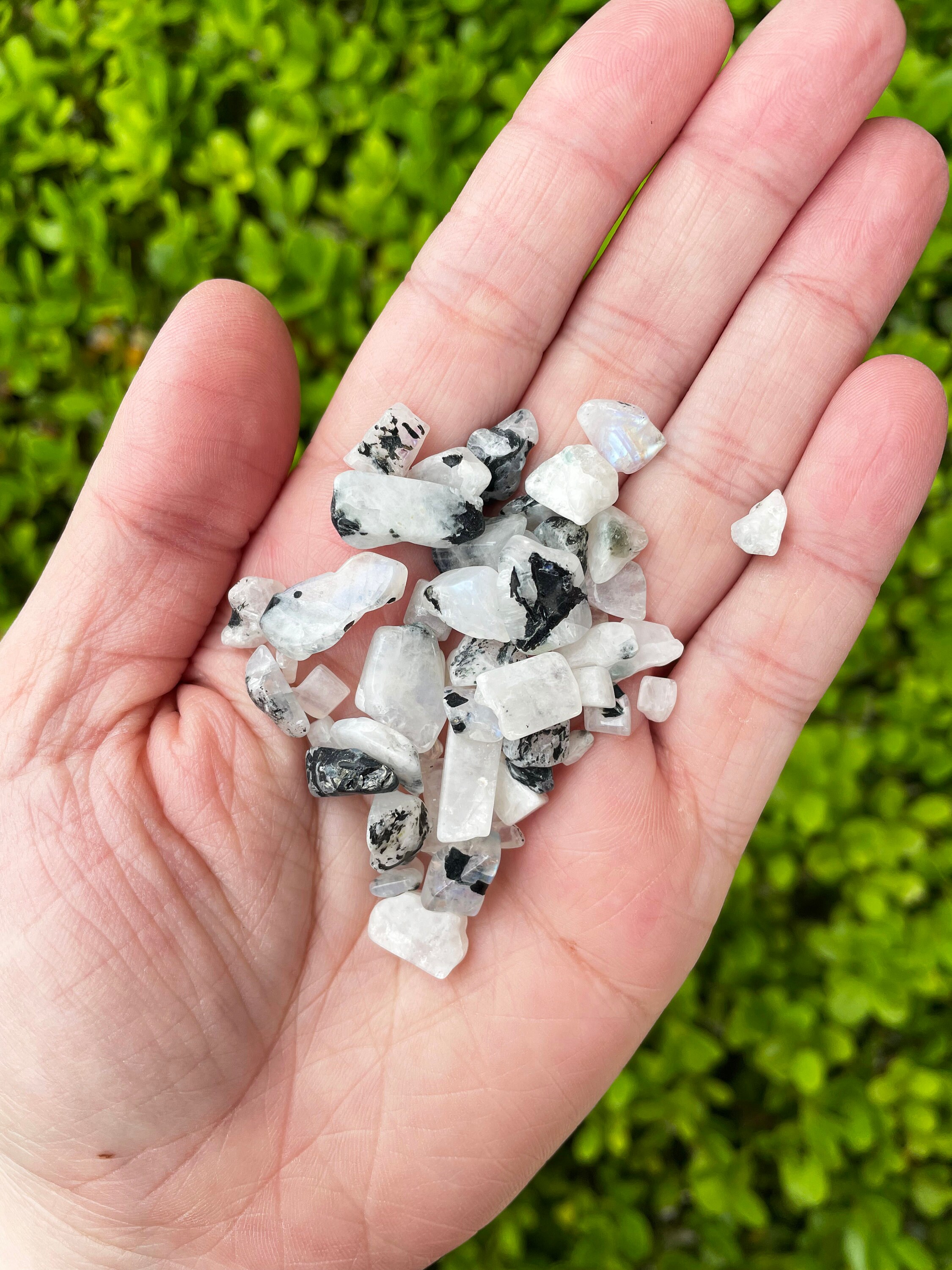 Rainbow Moonstone Crystal Chips 2-10mm Moonstone Chips: 2oz - Etsy